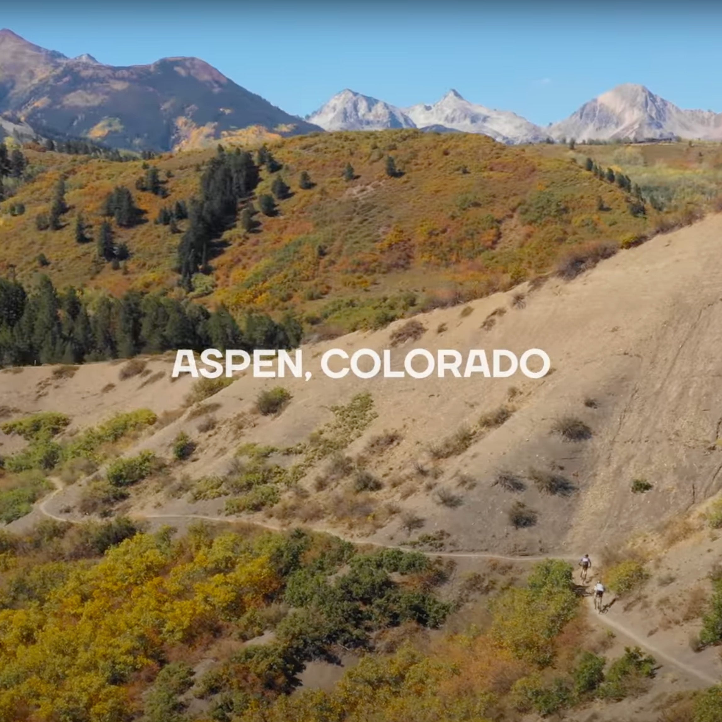 FILM: WEDŪ ASPEN FIFTY RECAP